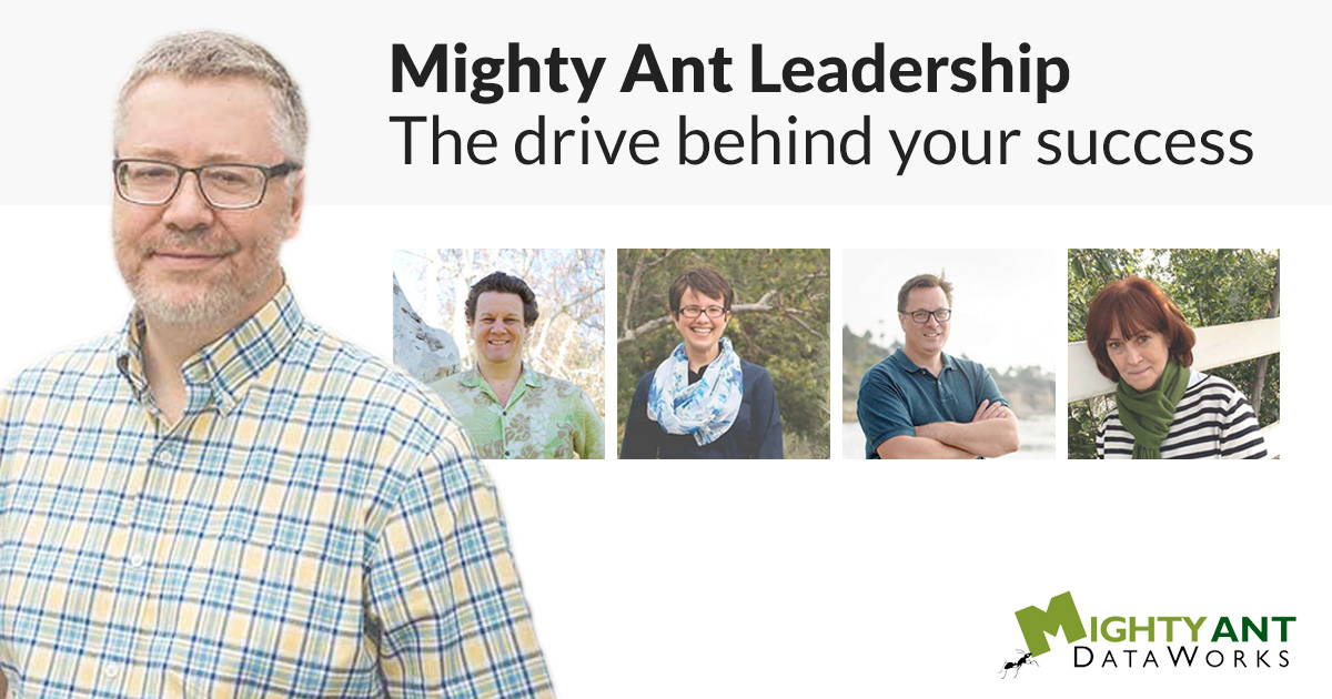 Software Dream Team | Mighty Ant